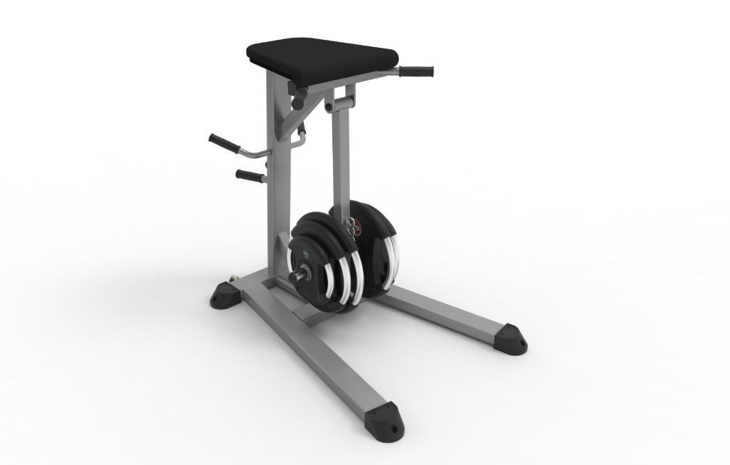 Reverse Hyper Bench | RAZE Strength